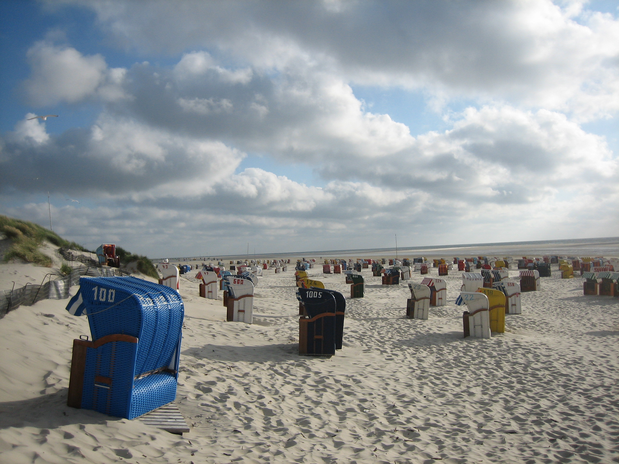 Amrum, Königin der Nordsee